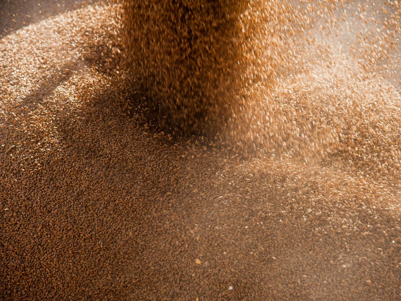 Effective Tips for Dealing With Pests in Your Grain Storage - Grain ...