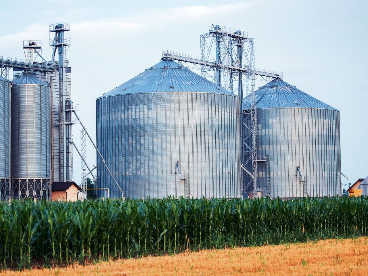 Important Considerations When Buying New Grain Bins - Grain Handling Direct
