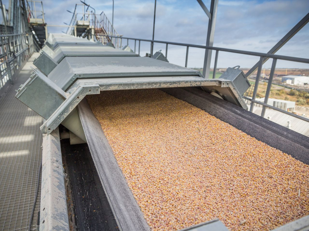 Understanding Grain Quality: What You Need To Know - Grain Handling Direct