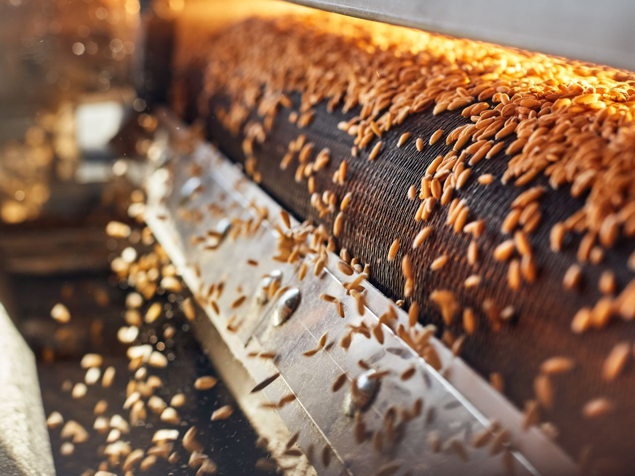 What To Know About the Grain Sorting Process - Grain Handling Direct