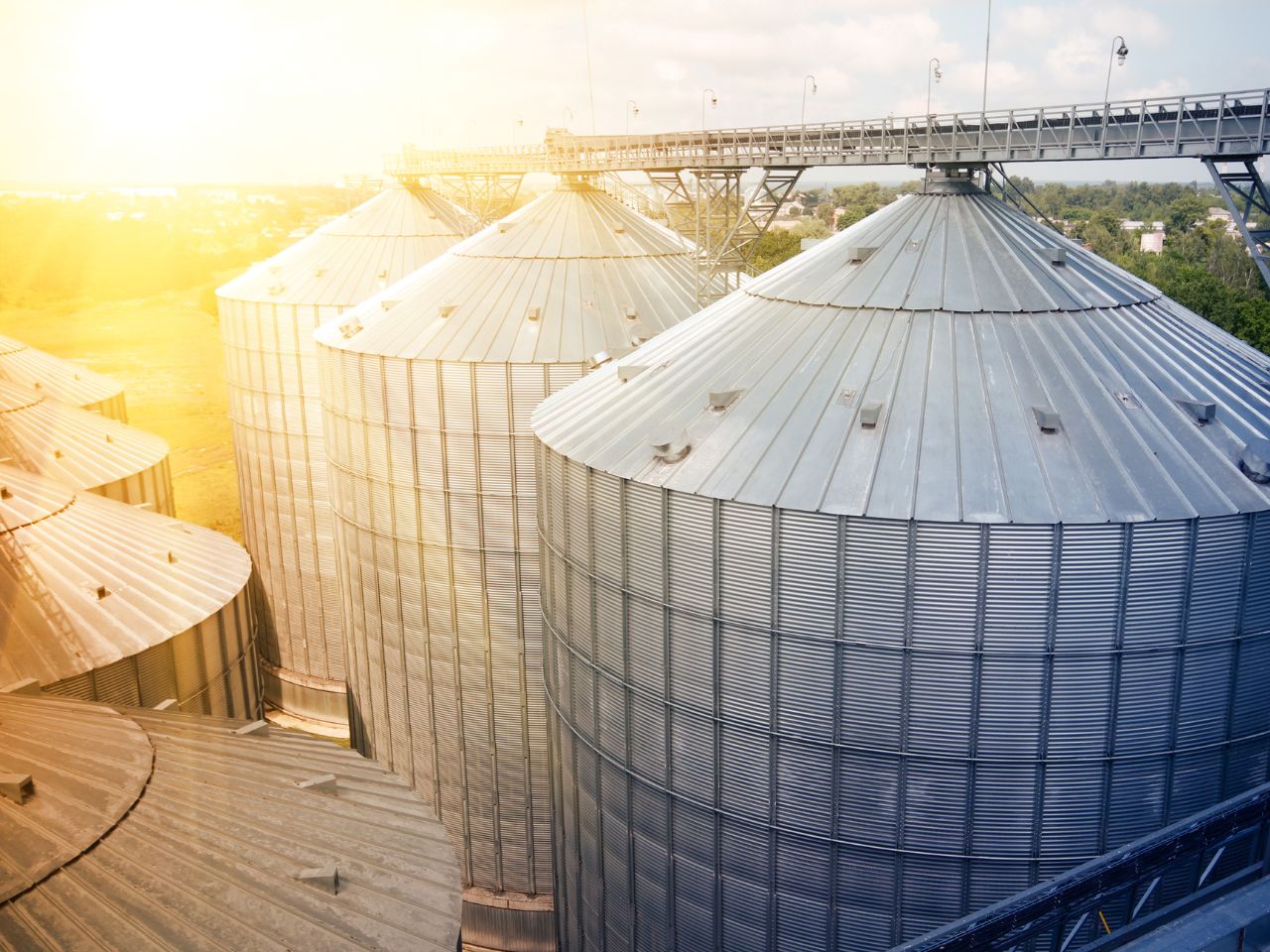 What To Know About the Effects of Moisture in Grain Storage - Grain Handling Direct