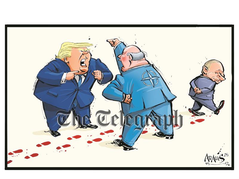 Adams Cartoons - Page 1 - Telegraph | Newsprints
