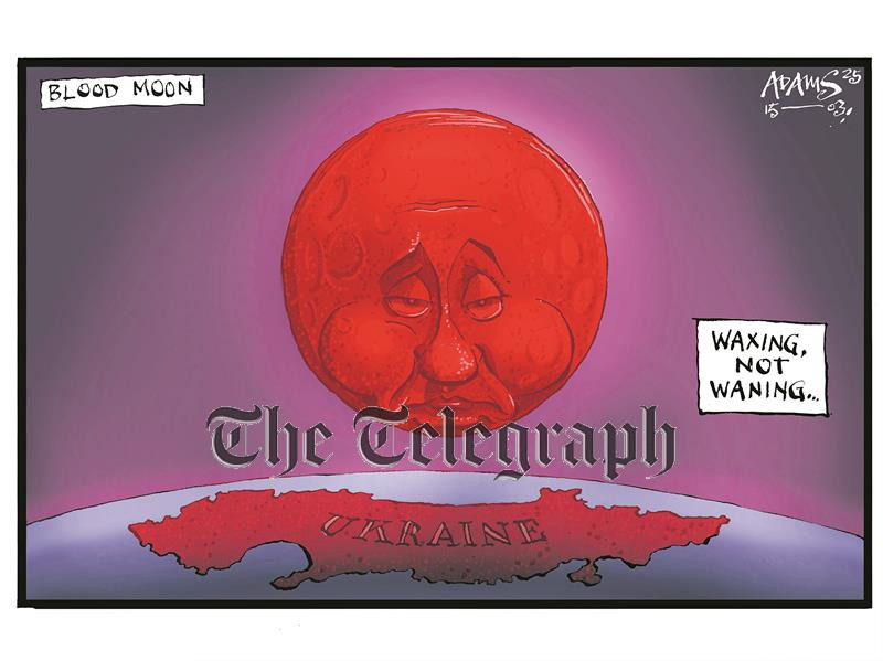 Adams Cartoons - Page 1 - Telegraph | Newsprints