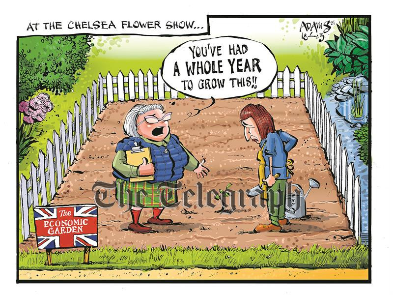 Adams Cartoons - Page 1 - Telegraph | Newsprints