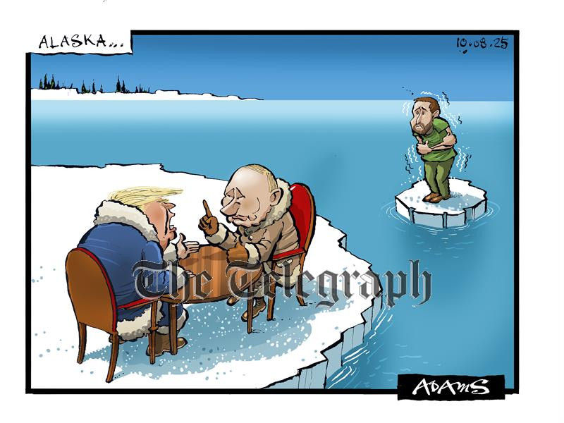 Adams Cartoons - Page 1 - Telegraph | Newsprints