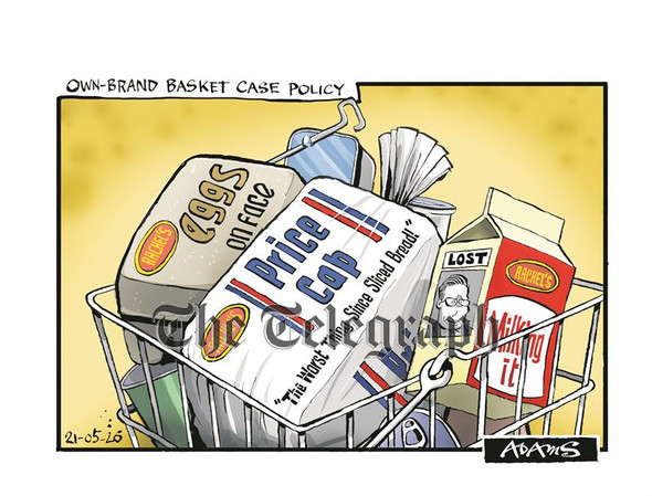 Adams Cartoons - Page 1 - Telegraph | Newsprints