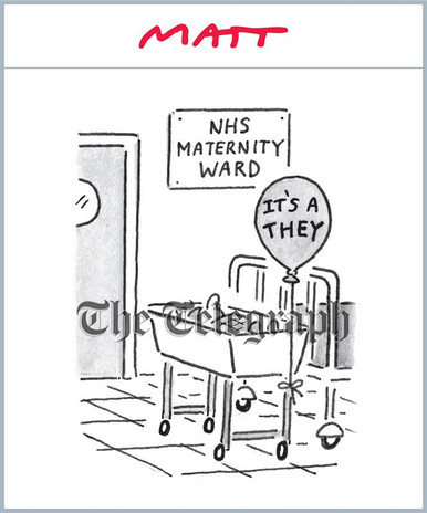 39962094-Matt Cartoon NHS Maternity Ward It's A They NHS Maternity Ward ...