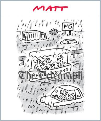 40042745-Matt Cartoon M5 Whale Watching M5 Whale Watching 28th Sep 2024 ...
