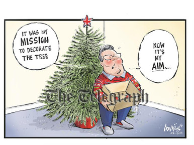 40076378-Adams Cartoon It was my mission to decorate the tree Now it's ...