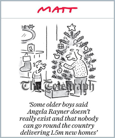 40077515-Matt Cartoon 'Some older boys said Angela Rayner doesn't ...