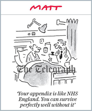 40110515-Matt Cartoon Your appendix is like NHS England. You can ...