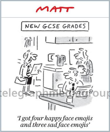 35293949-Matt Cartoon New GCSE Grades I got four happy face emojis and ...