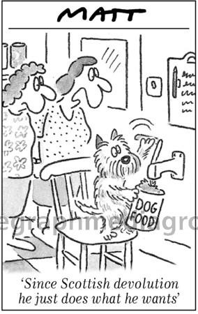 24771886-Matt Cartoon Dog Food Since Scottish devolution he just does ...