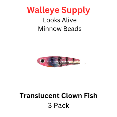 Looks Alive Minnow Beads TRANSLUCENT CLOWN FISH MINNOW - walleyesupply.com