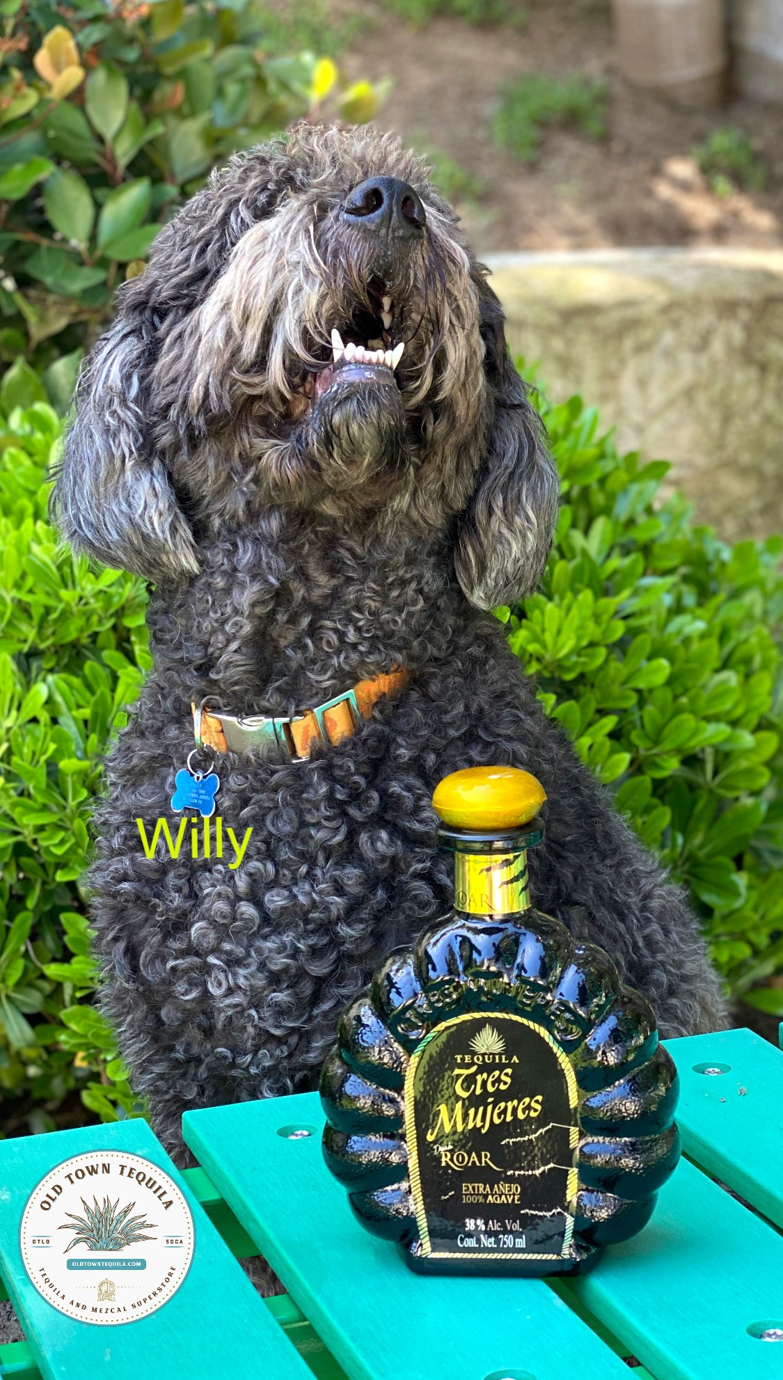 Tequila - Extra Anejo - Page 4 - Old Town Tequila