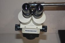 Fisher Scientific Stereomaster Stereo Microscope - Industrial Lynx
