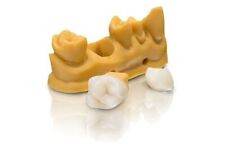 Bego Varseosmile Crown A2 41118 3D Printing Dental Resin Permanent ...