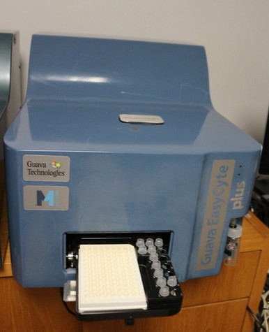 Guava Technologies Easycyte Plus Flow Cytometry Cytometer - Industrial Lynx