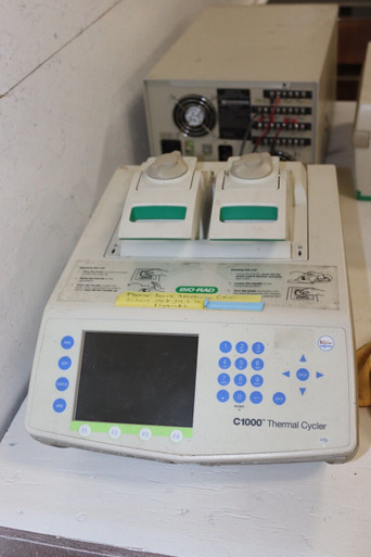 Bio-Rad C1000 Thermal Cycler With Dual 48/48 Fast Reaction Module ...