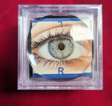 Welch Allyn Panoptic Model Training Eyebox Eye Simulator - Industrial Lynx