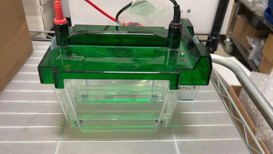 Bio-Rad Criterion Midi-Format Electrophoresis Cell 135Br Tank,Lid,Power ...