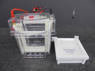 Invitrogen Novex Electrophoresis Mini-Cell Xcell Surelock System W Blot ...