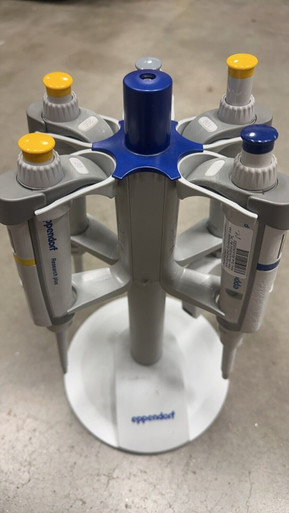 Set Of 5 Eppendorf Research Plus Pipettes Single Channel And Multi ...