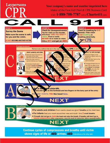 100 Cpr Reference Charts For Layperson W/Personalized Imprinting ...