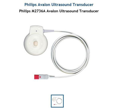 Philips M2736A Avalon Ultrasound Transducer / Philips Medical Products ...