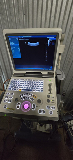 Mindray Musculoskeletal (Msk) Ultrasound Machine Portable - Industrial Lynx