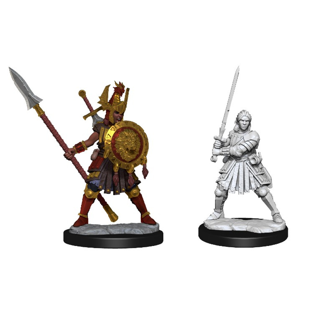 Dungeons & Dragons Miniatures: Frameworks - Female Human Fighter (Wave ...