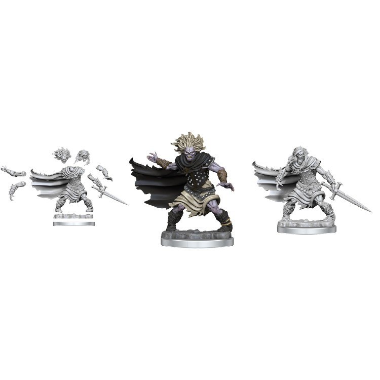 Dungeons & Dragons Miniatures: Frameworks - Wight (Wave 1) - Game Nerdz