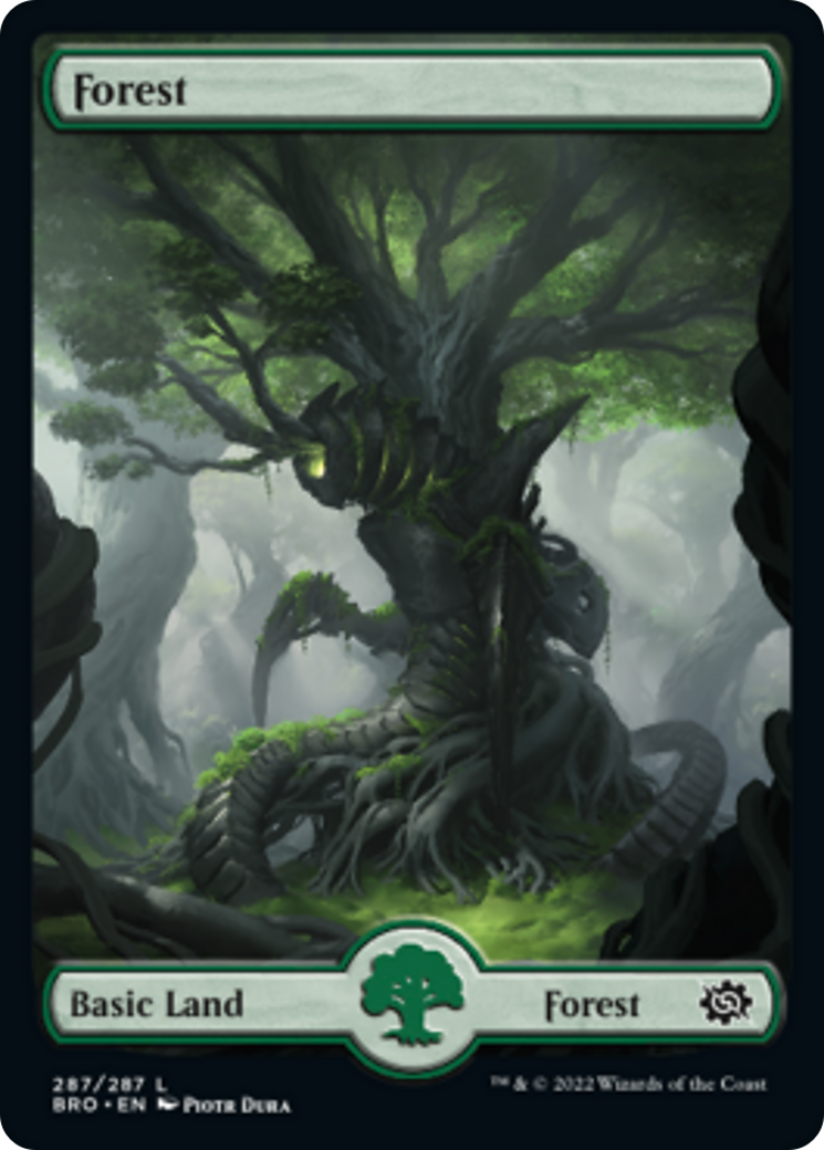 Forest (BRO-287) - The Brothers' War - Game Nerdz