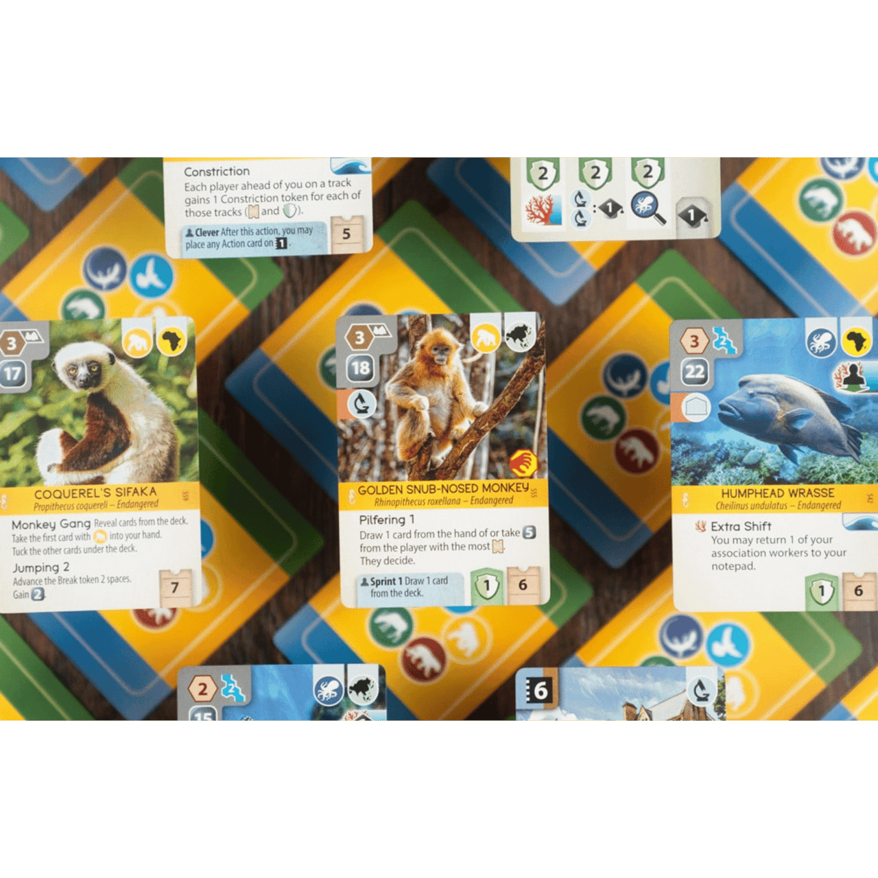 Ark Nova: Marine Worlds Expansion - Game Nerdz