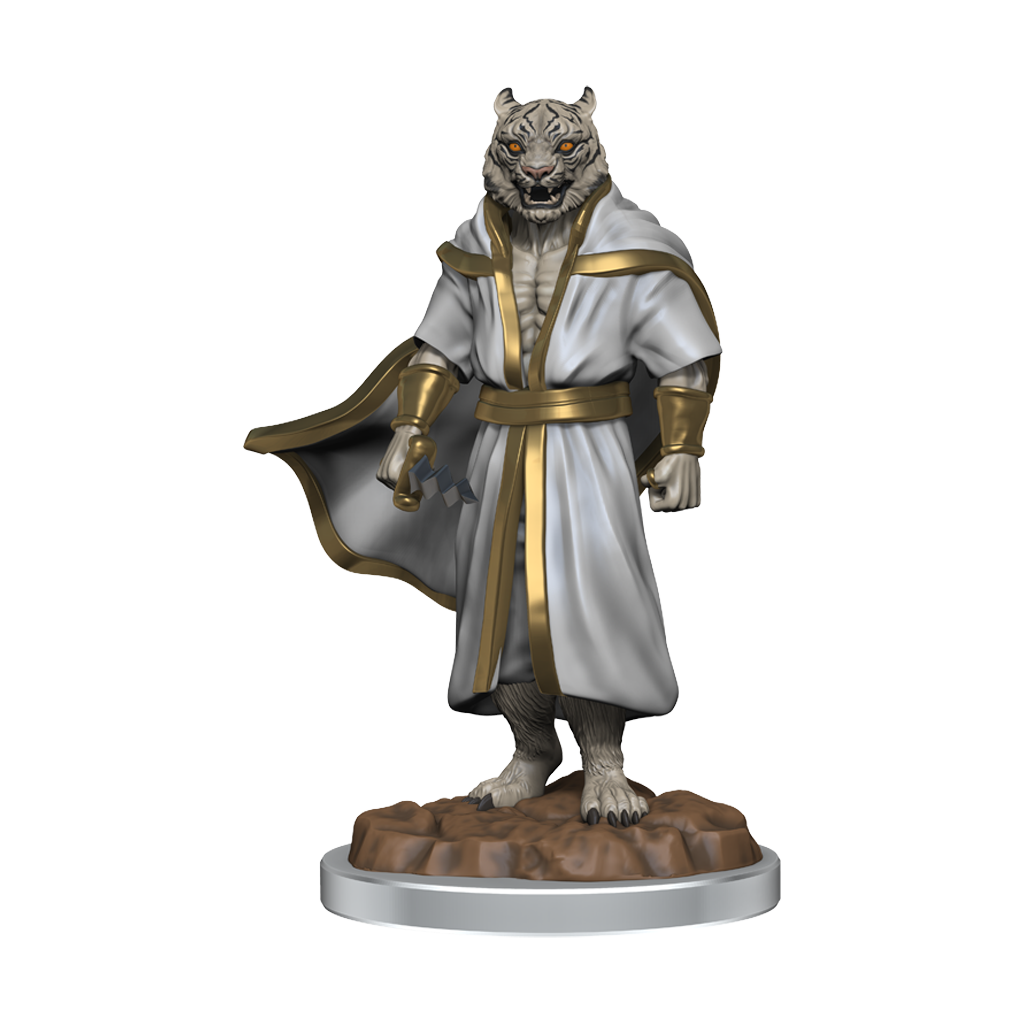 Critical Role Unpainted Miniatures: Male Human Sorcerer Merchant ...
