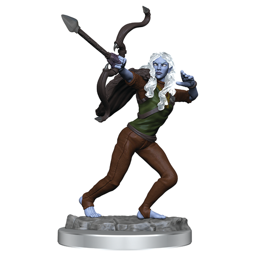 Critical Role Unpainted Miniatures: Ashari Stoneguard & Ashari ...