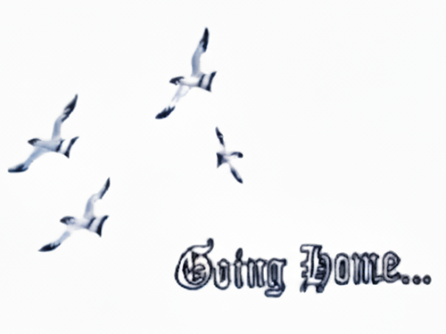 Going Home Head Panel - Blue
