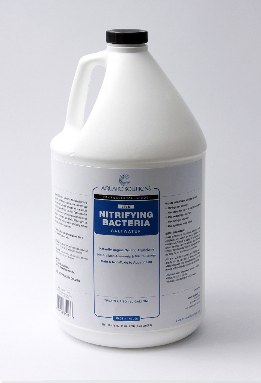 Concentrated Nitrifying Bacteria Saltwater
