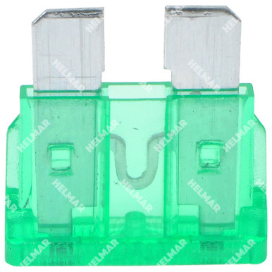 FUSE-30-REG FUSE (30 AMP)