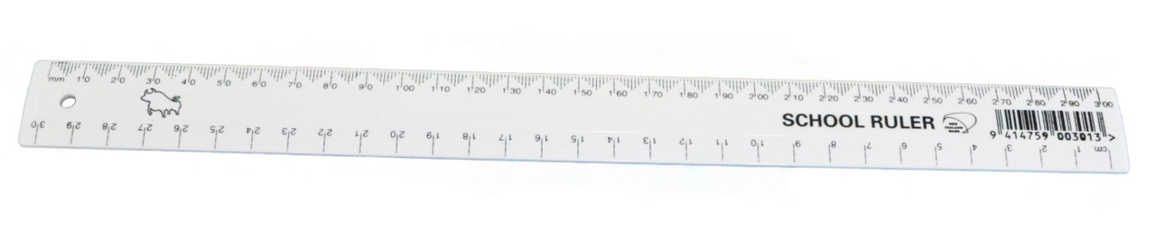 PLASTIC RULER 30CM WHITE - Qizzle