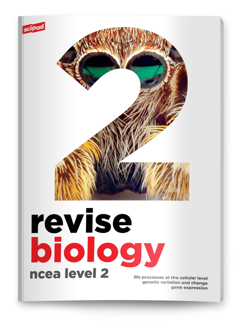 SCIPAD BIG IDEAS BOOK 2 YEAR 10 SCIENCE 9781991167514 Qizzle SCIPAD BIG IDEAS BOOK 2 YEAR 10 SCIENCE 9781991167514 Qizzle