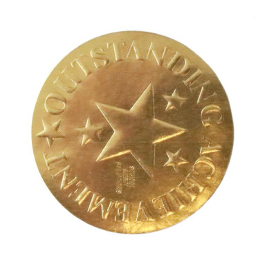 OUTSTANDING ACHIEVEMENT STICKERS, PKT 102 - Qizzle