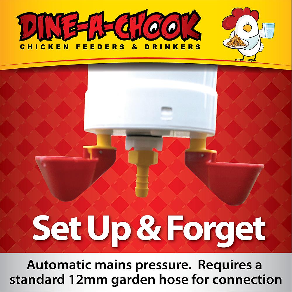 Automatic Water Feeder For Chickens | Mains Pressure | Dine a Chook