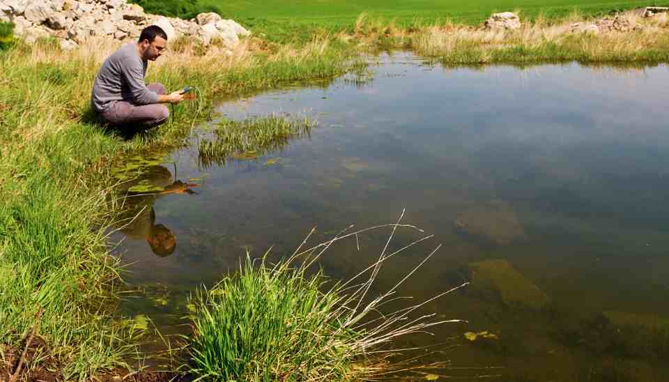 Botulism and Wet Chicken Feed - Dine-A-Chook