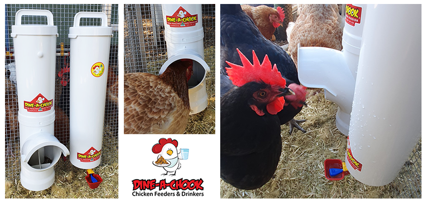 DINE-A-CHOOK Chicken Feeder & Drinker Set / Chook Waterer / Poultry ...