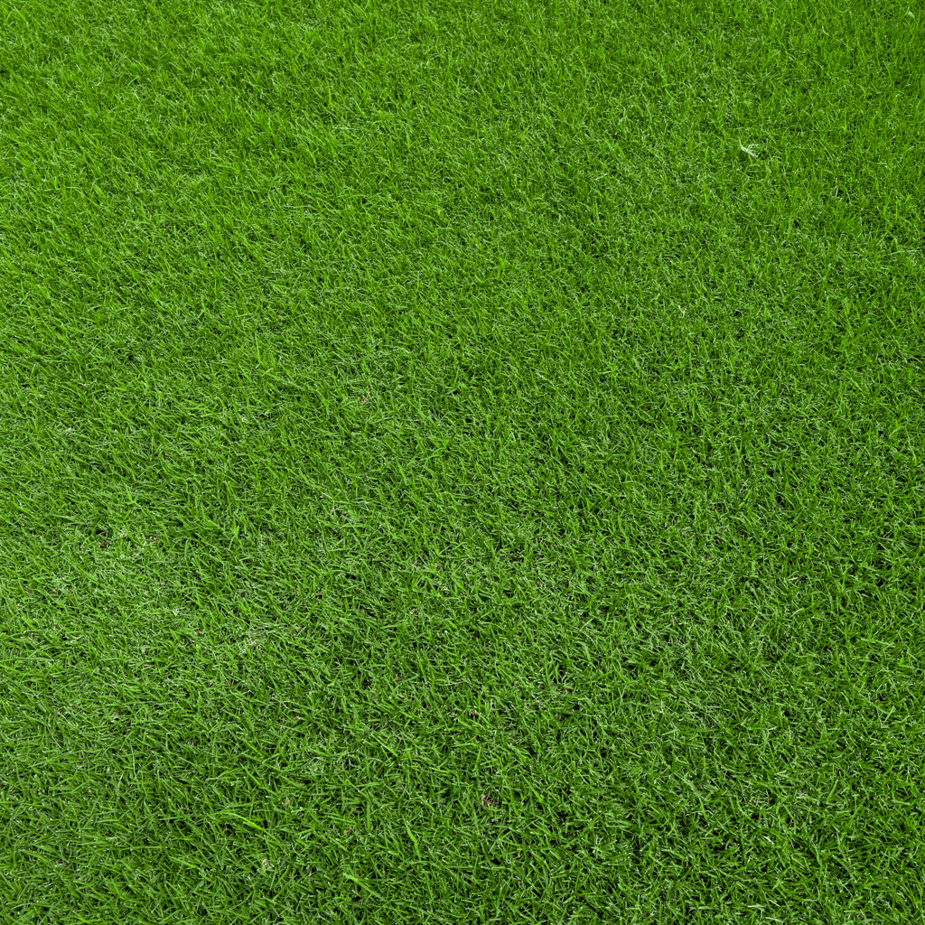 Tifway 419 Bermuda Sod | Durable, Fine‑Textured Lawn Turf – USA Sod