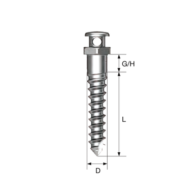 Orthanchor Simple Head