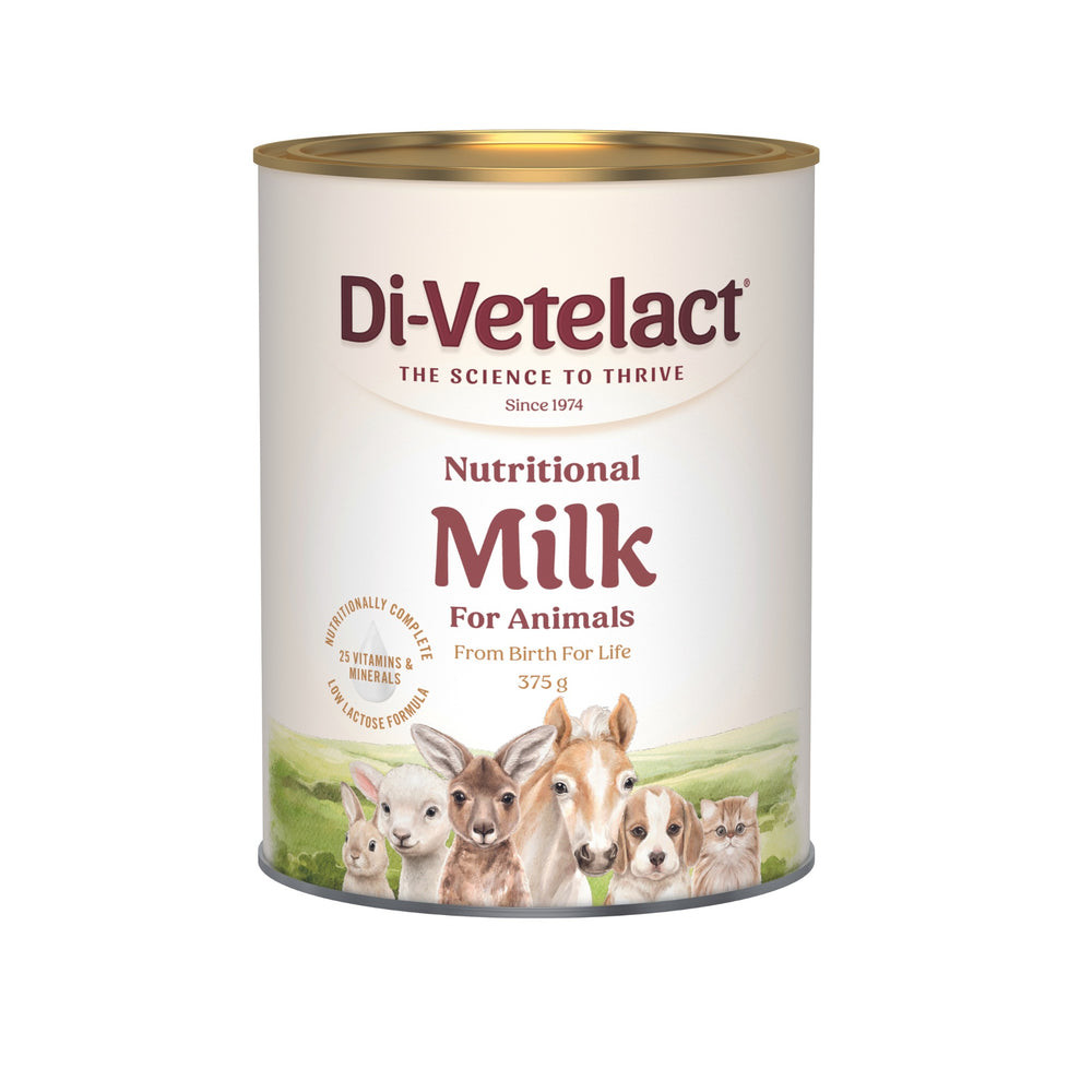 Di-Vetelact Animal Supplement Powder