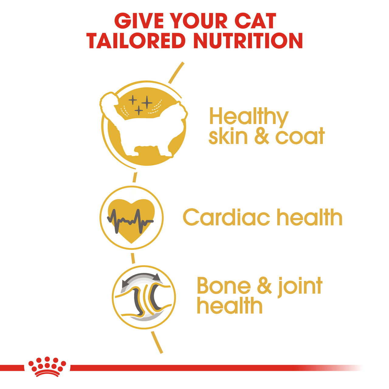 Royal Canin Ragdoll Adult Dry Cat Food - PetO
