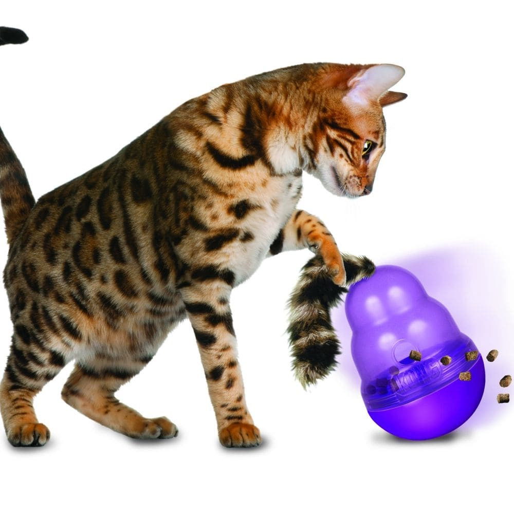 Kong Cat Wobbler Cat Toy | Cat Feeder Toy | PetO